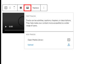 How to Add Captions and Subtitles to Videos in WordPress | BeginWP